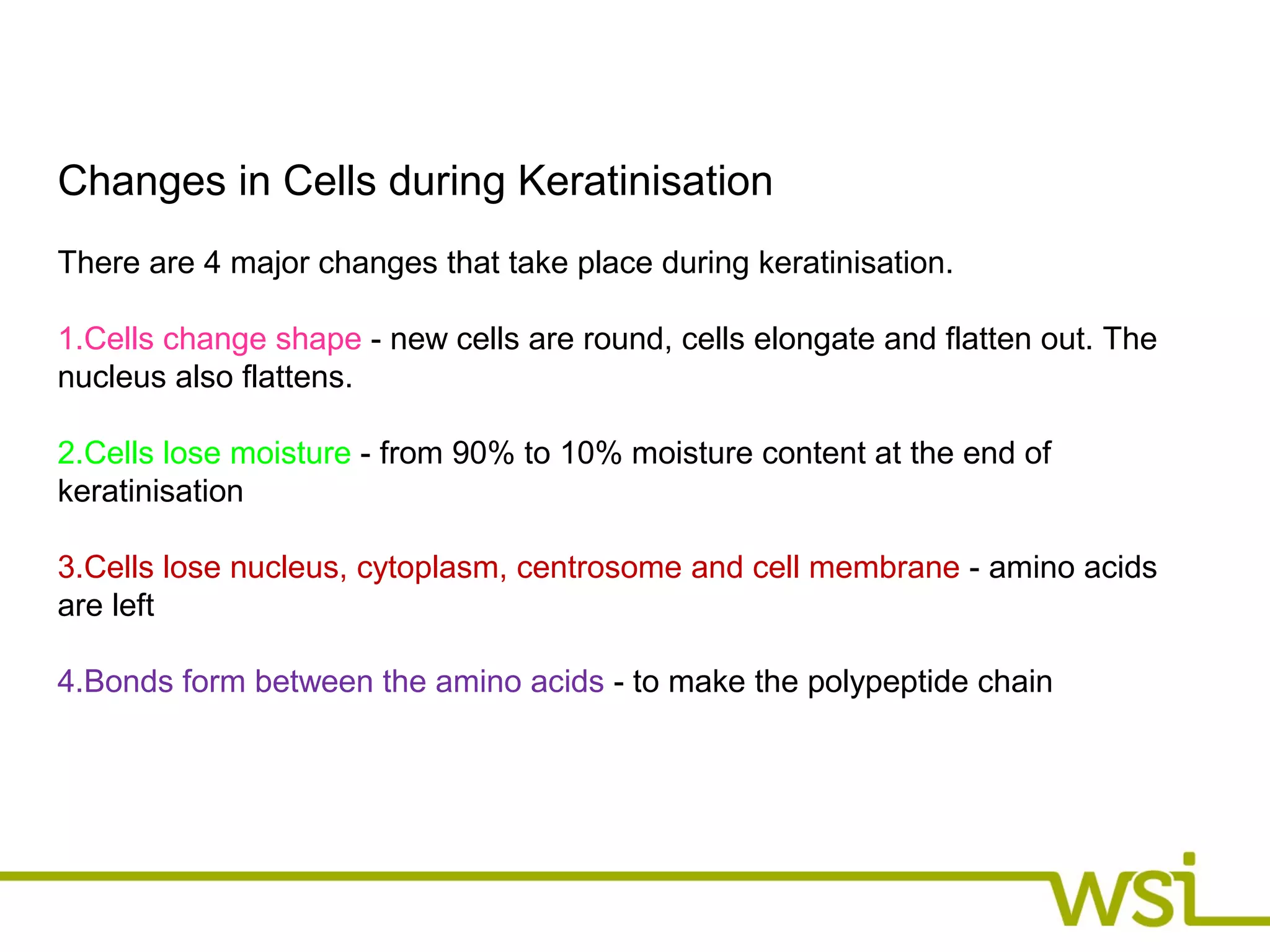 Keratinisation | PPT