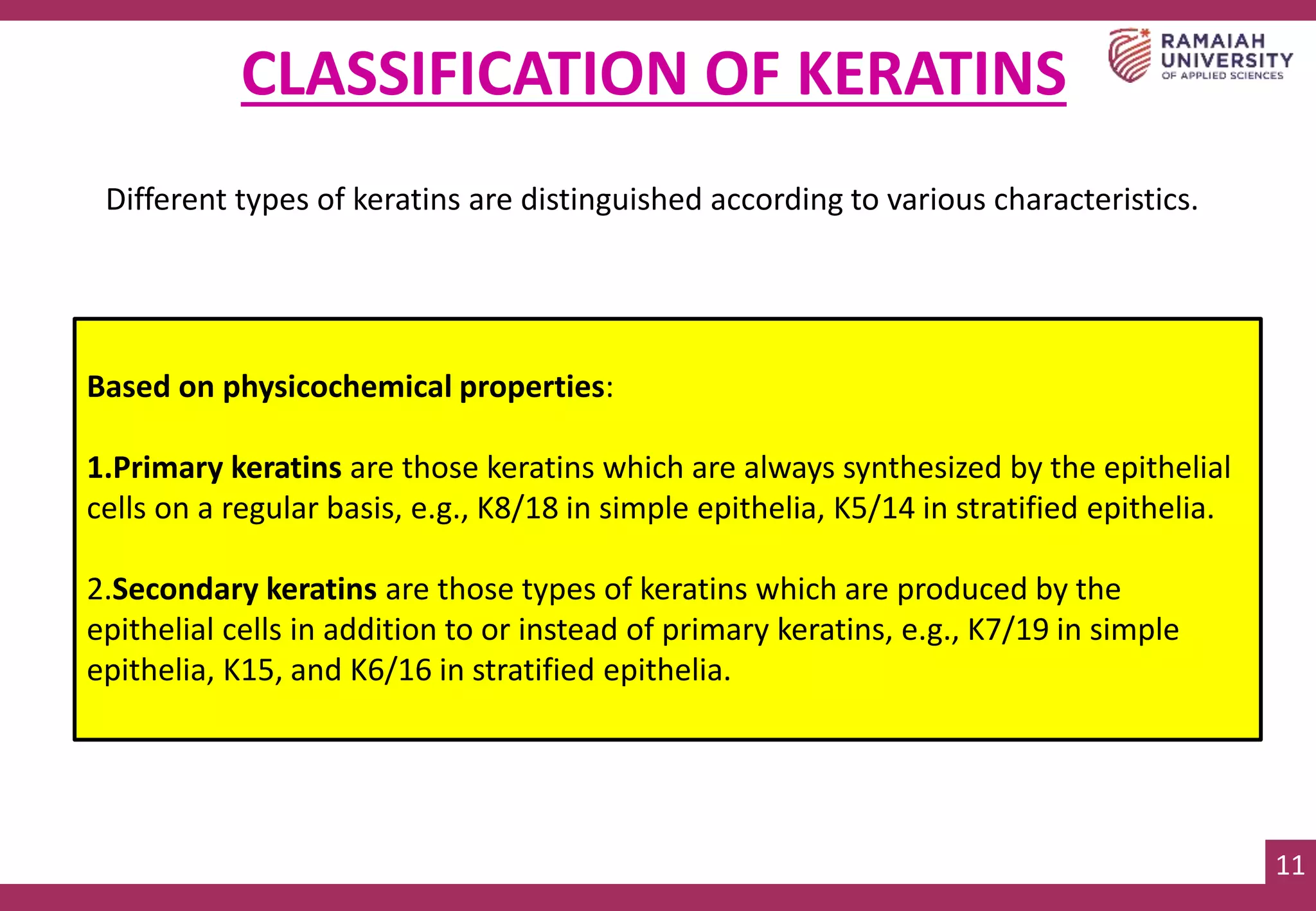 Gingival Keratinization | PPTX