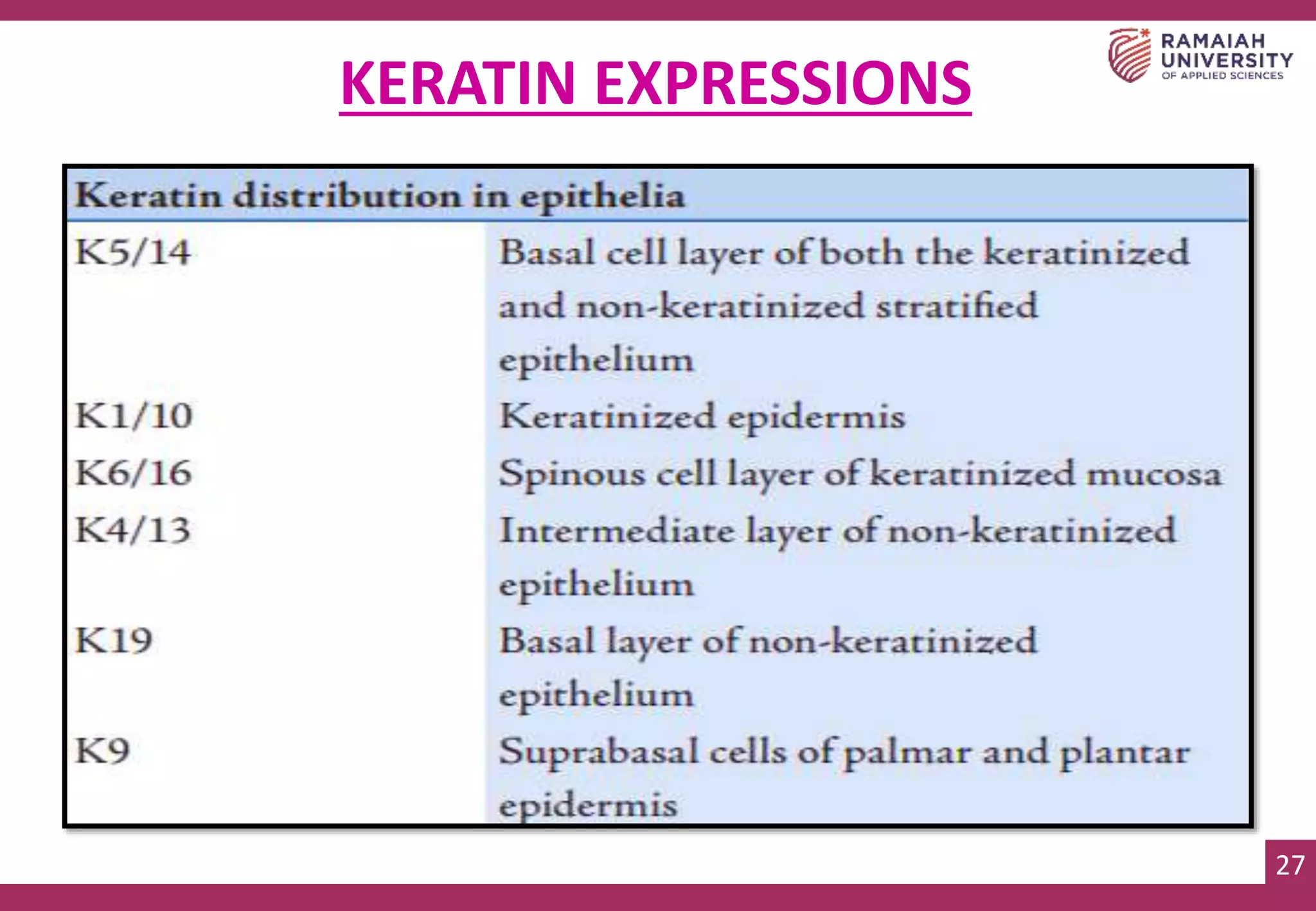 Gingival Keratinization | PPTX