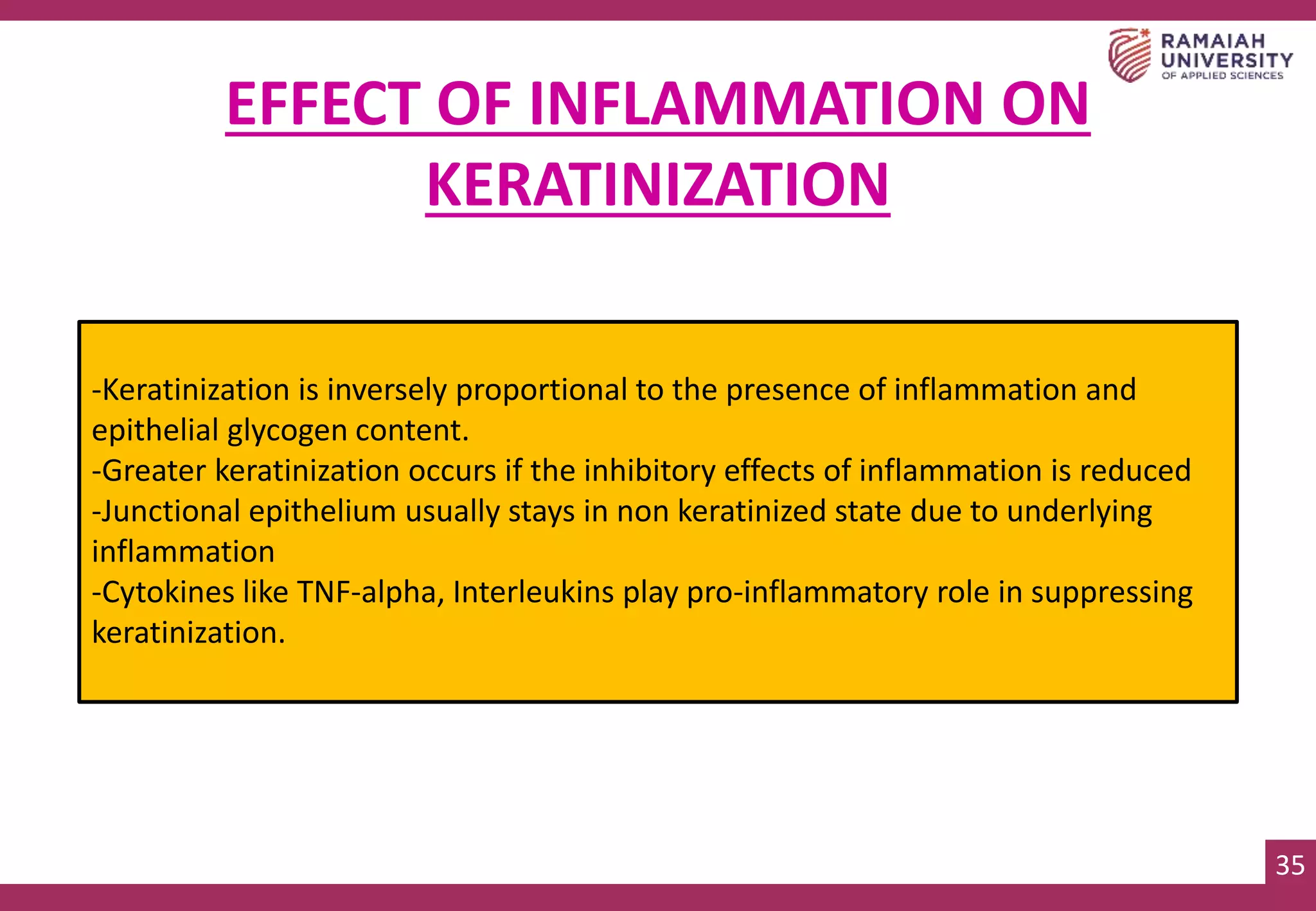 Gingival Keratinization | PPTX