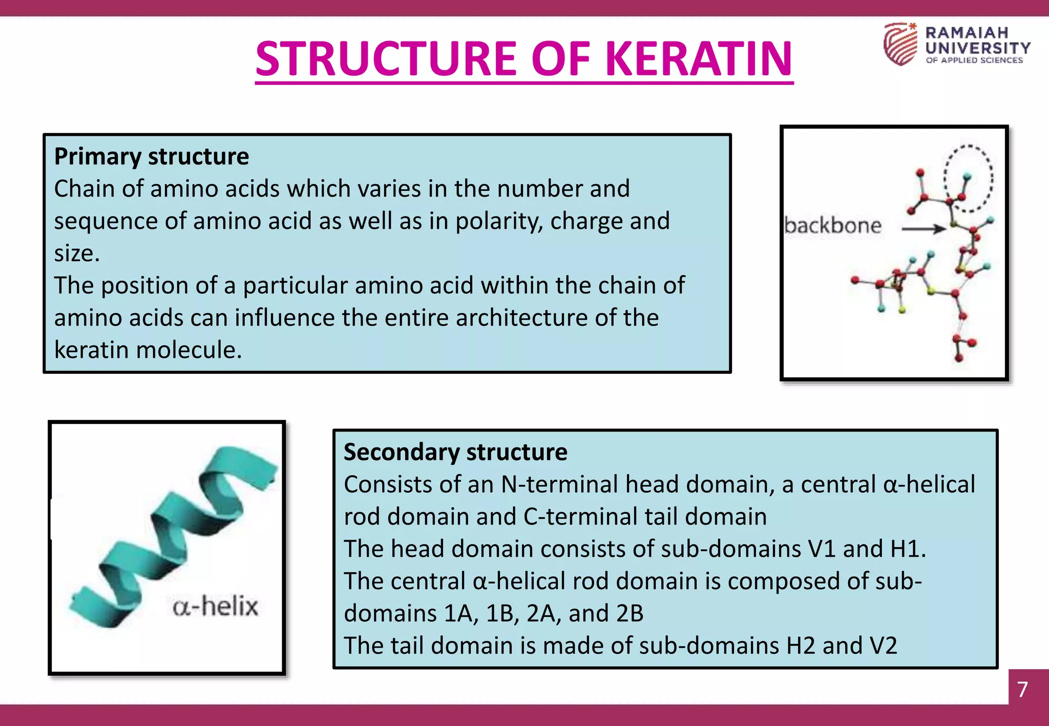 Gingival Keratinization | PPTX
