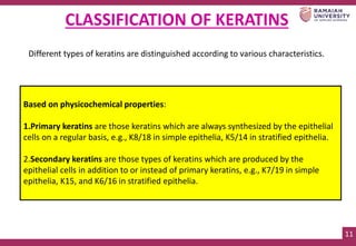 Gingival Keratinization | PPTX