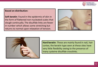 Gingival Keratinization | PPTX