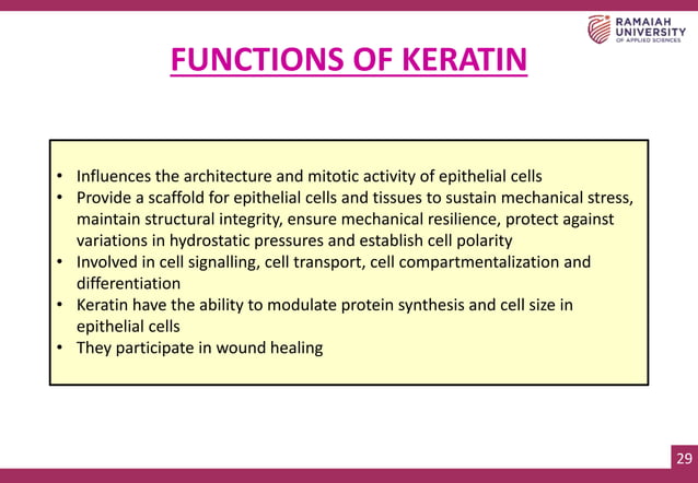 Gingival Keratinization | PPTX