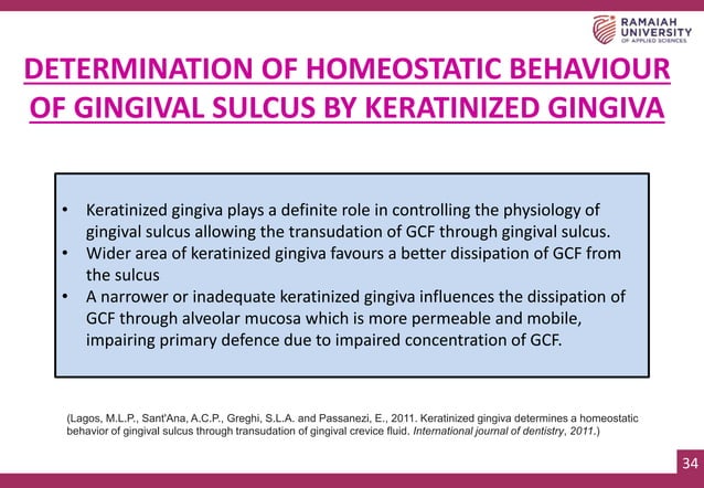 Gingival Keratinization | PPT