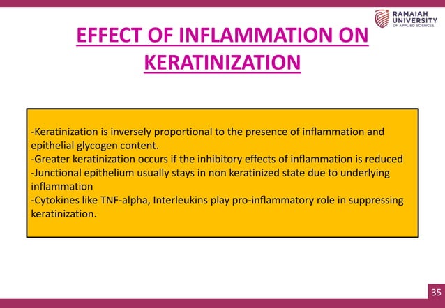 Gingival Keratinization | PPTX