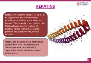 Gingival Keratinization | PPTX