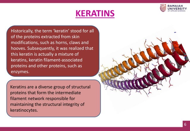 Gingival Keratinization | PPTX