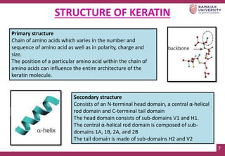 Gingival Keratinization | PPTX