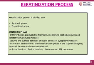 Gingival Keratinization | PPTX