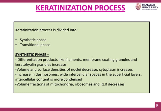 Gingival Keratinization | PPTX