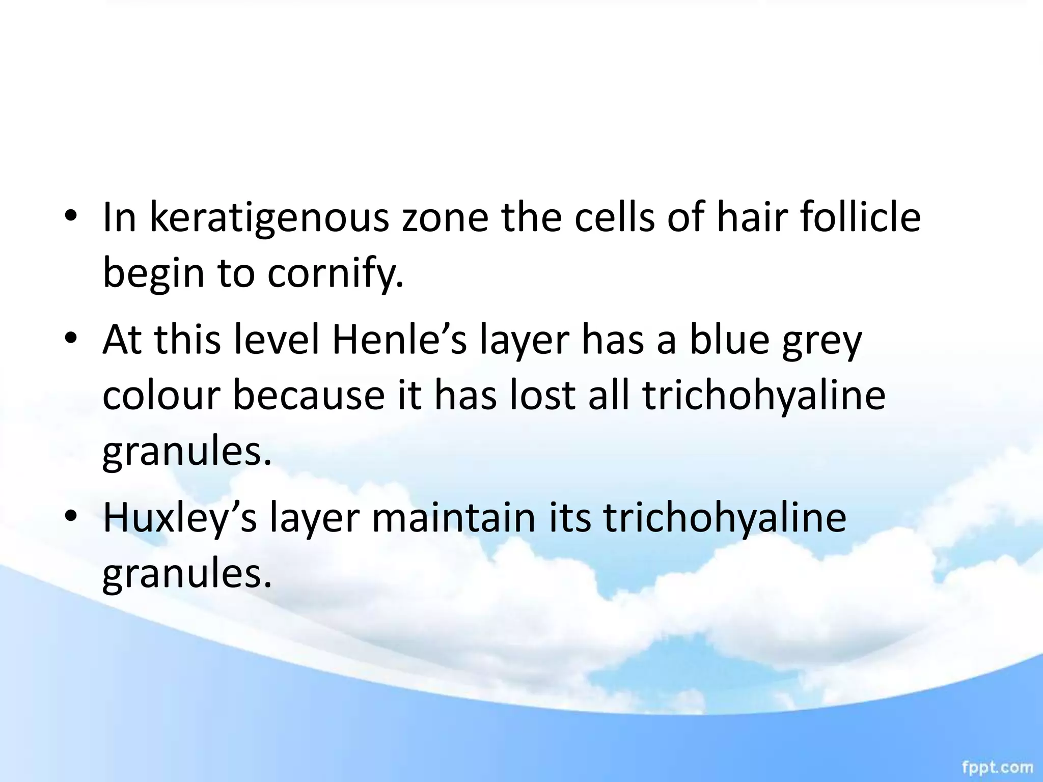 Keratinization amy | PPTX