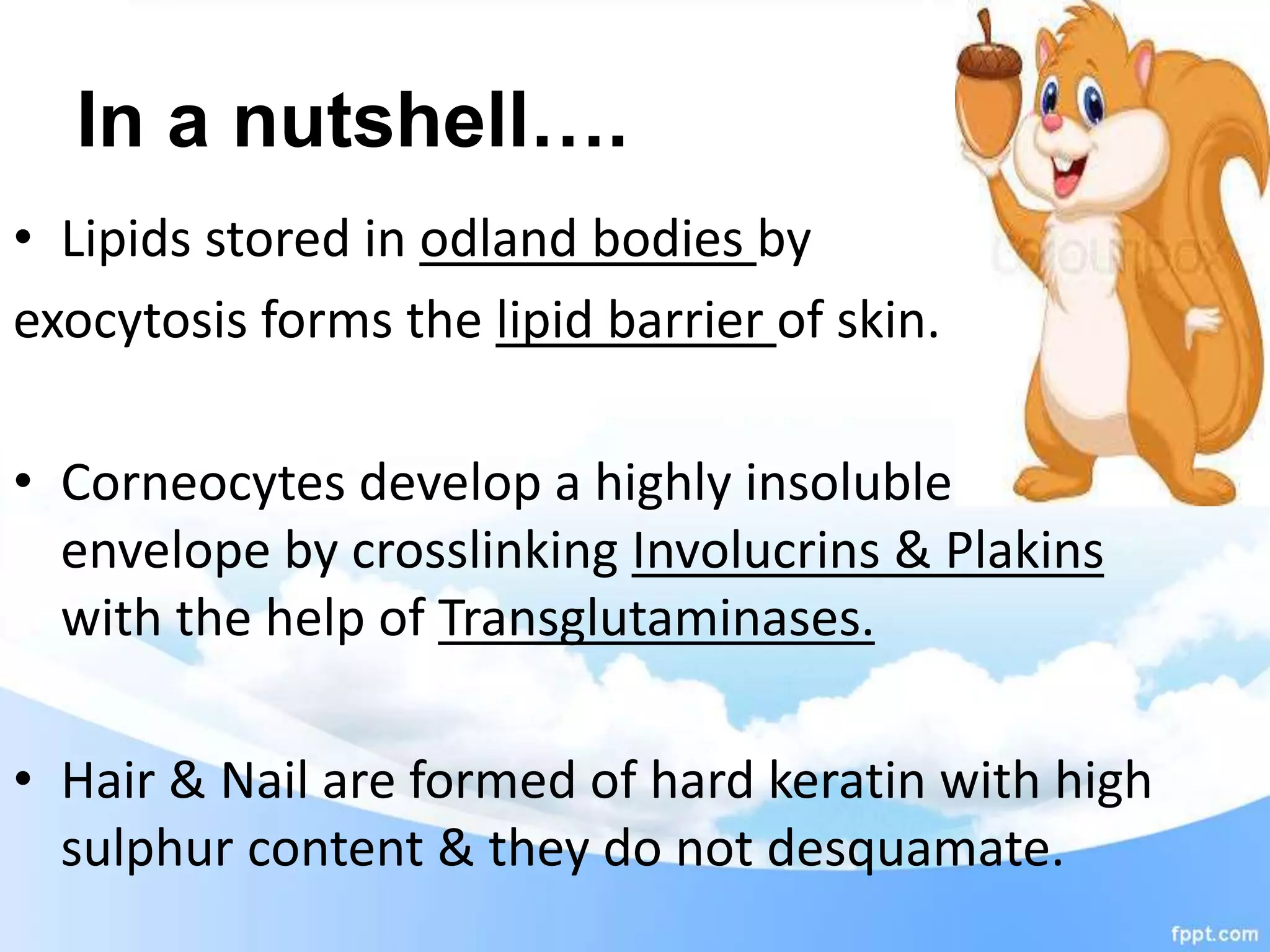 Keratinization amy | PPTX