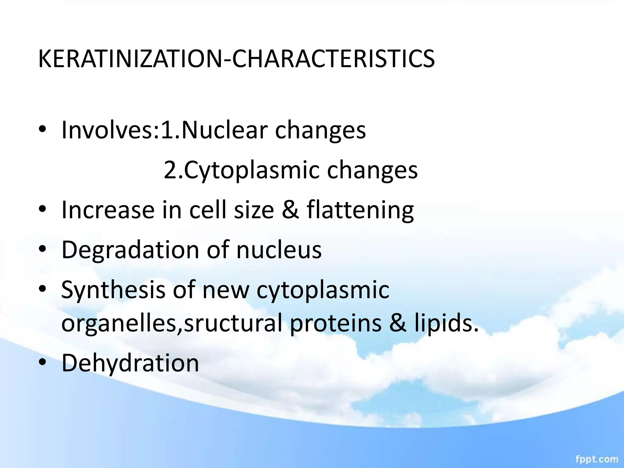 Keratinization amy | PPTX