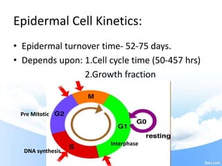 Keratinization amy | PPTX