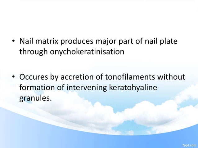 Keratinization amy | PPTX