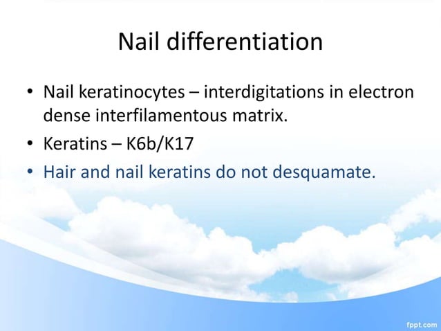 Keratinization amy | PPTX