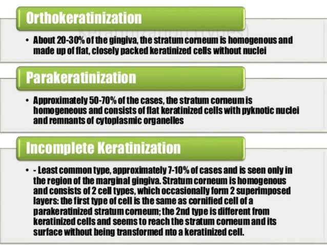 Keratinization disorders by M.Y.Abdel_Mawla,MD | PPSX | Skin and ...
