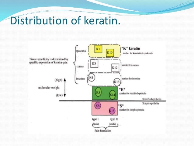 Keratinization disorders by M.Y.Abdel_Mawla,MD