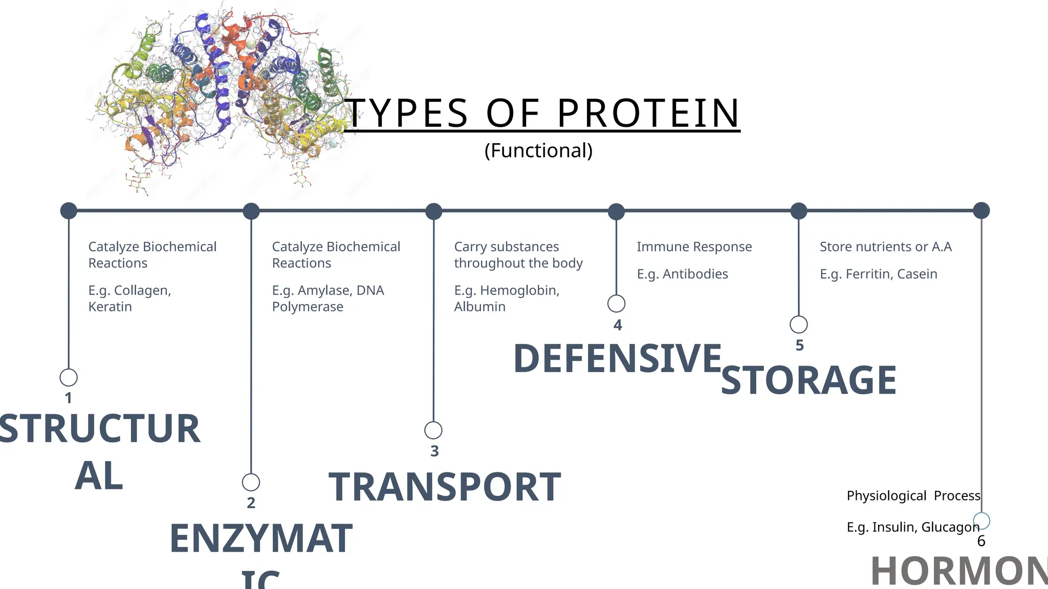 Keratin protein this fundamental structe and difference .pptx