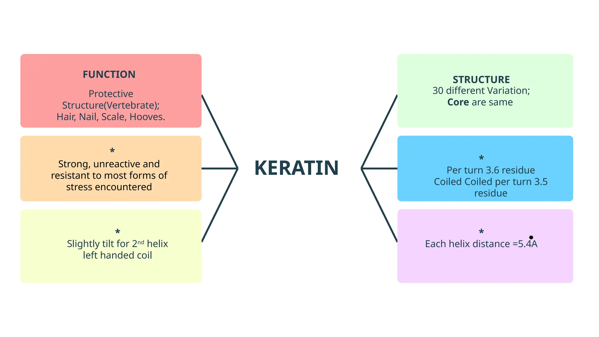 Keratin protein this fundamental structe and difference .pptx