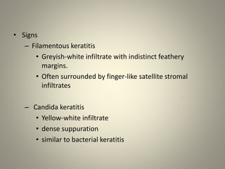 Keratitis | PPTX