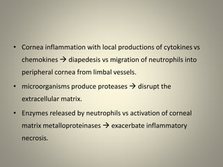 Keratitis | PPTX