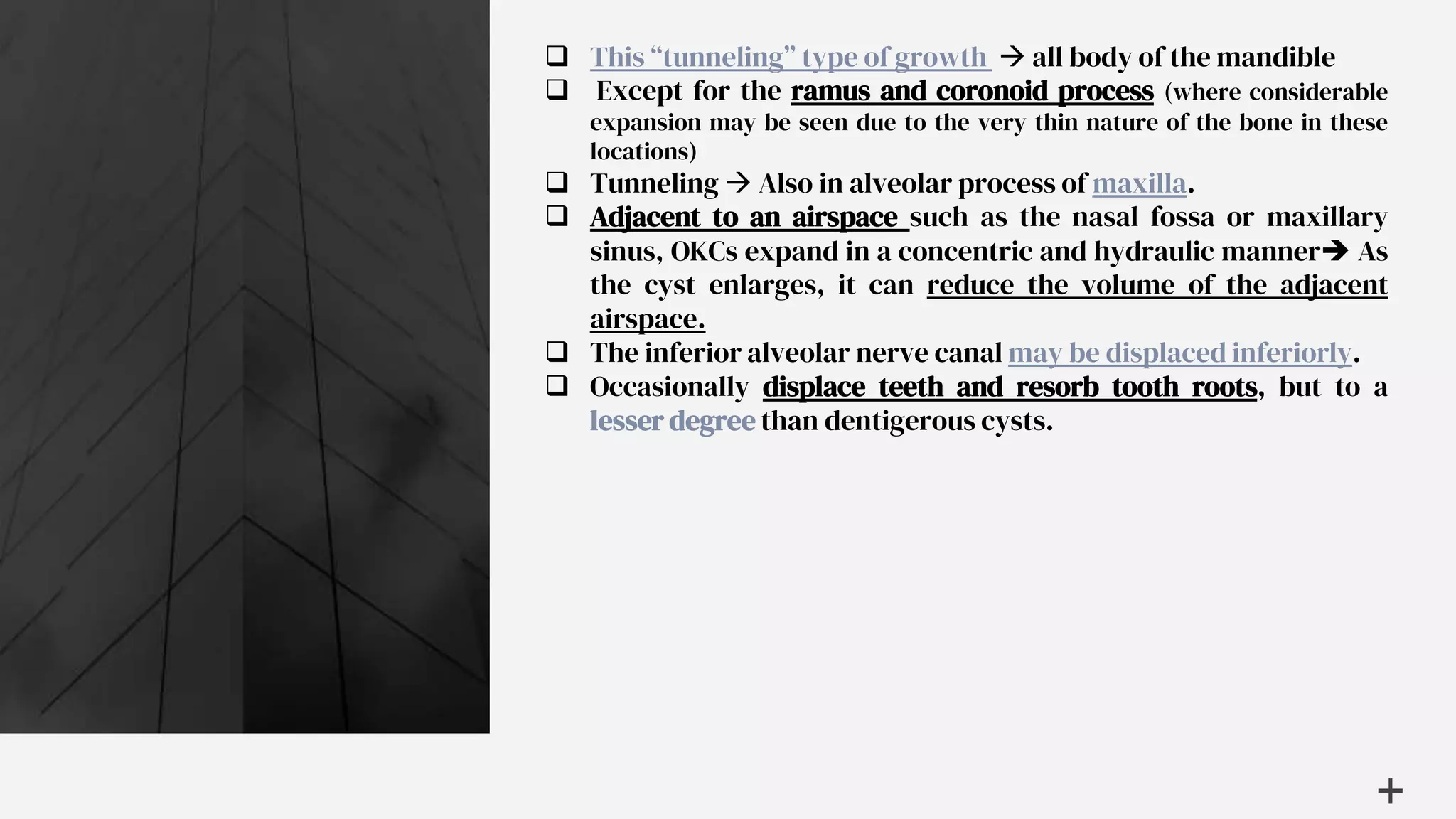 Keratocystic odontogenic tumors(KCOT) or Odontogenic Keratocyst(OKC)OKC ...