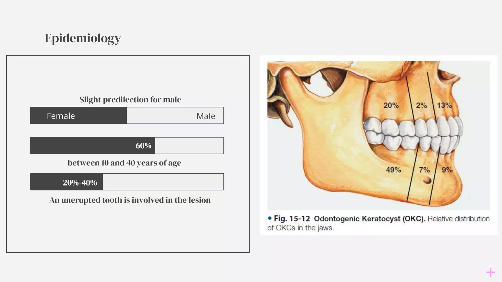Keratocystic odontogenic tumors(KCOT) or Odontogenic Keratocyst(OKC)OKC ...