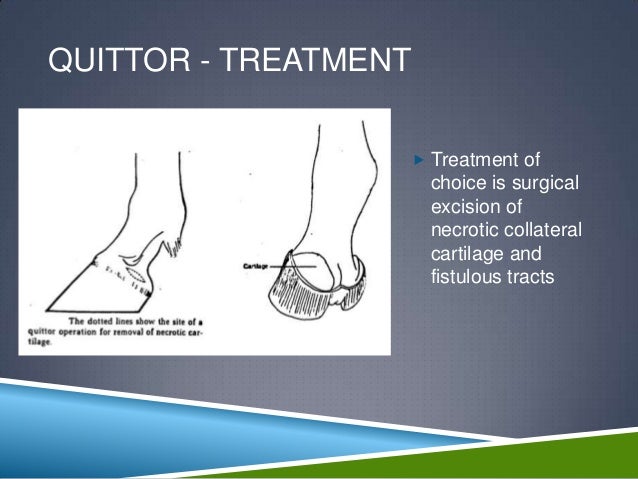 Keratoma, canker, quittor, corn