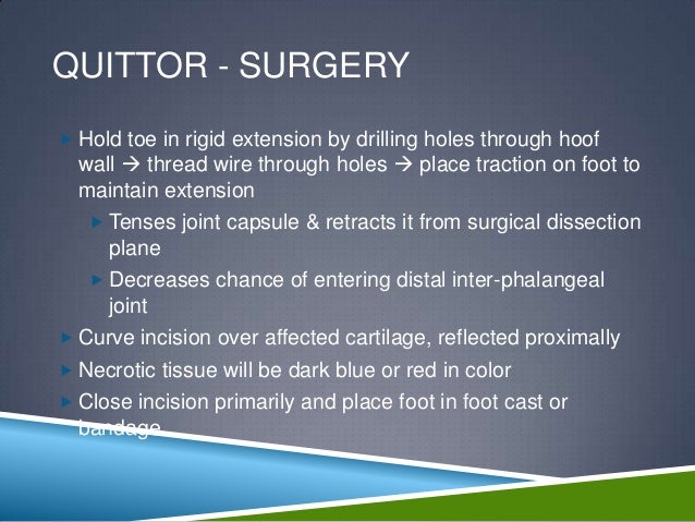 Keratoma, canker, quittor, corn