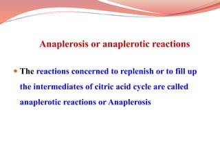 Kerb's cycle. | PPTX