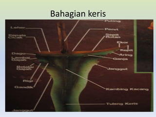 Keris (rekabentuk tradisional sem 2) kajian lapangan | PPTX