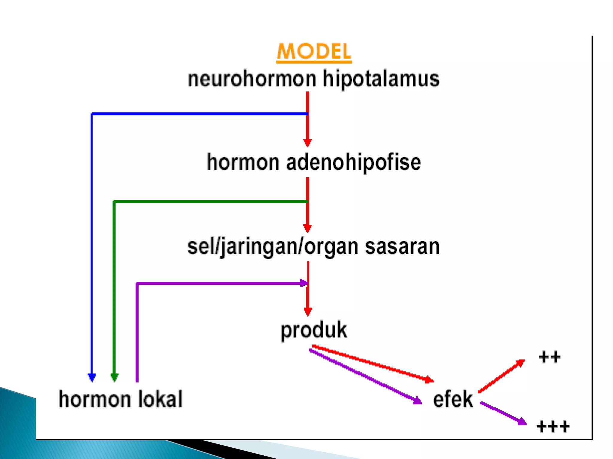Kerja hormon dan sistem indra | PPT