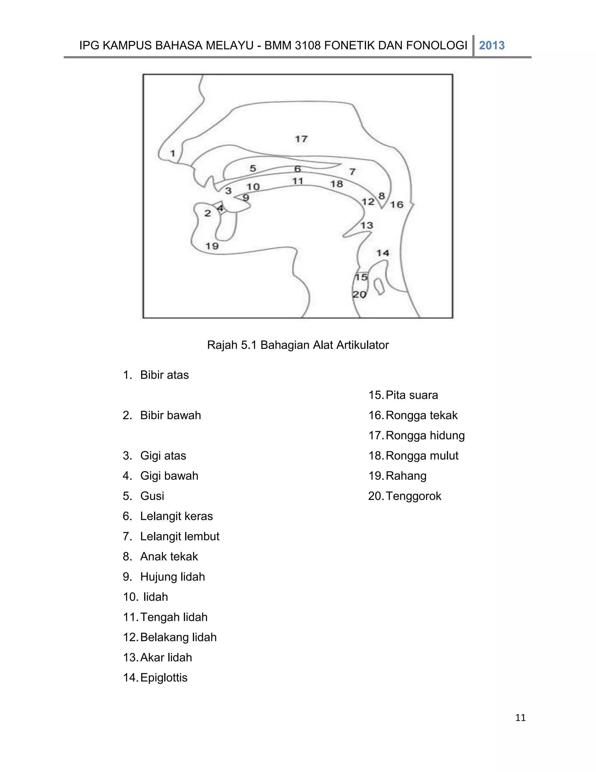 Fonetik dan Fonologi bmm 3108 (autosaved) | DOCX