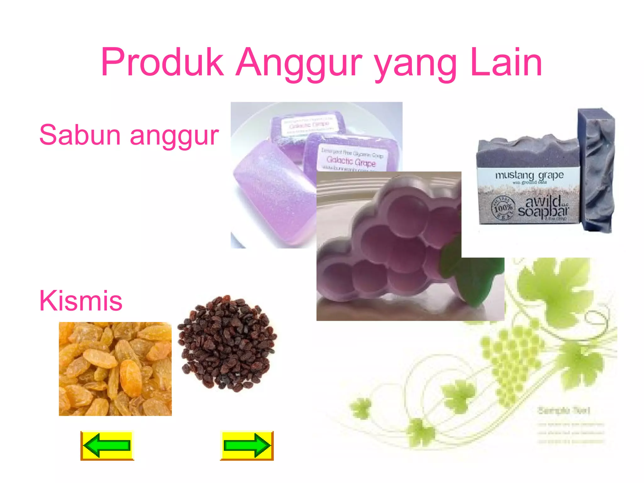 Anggur di Malaysia | PPT