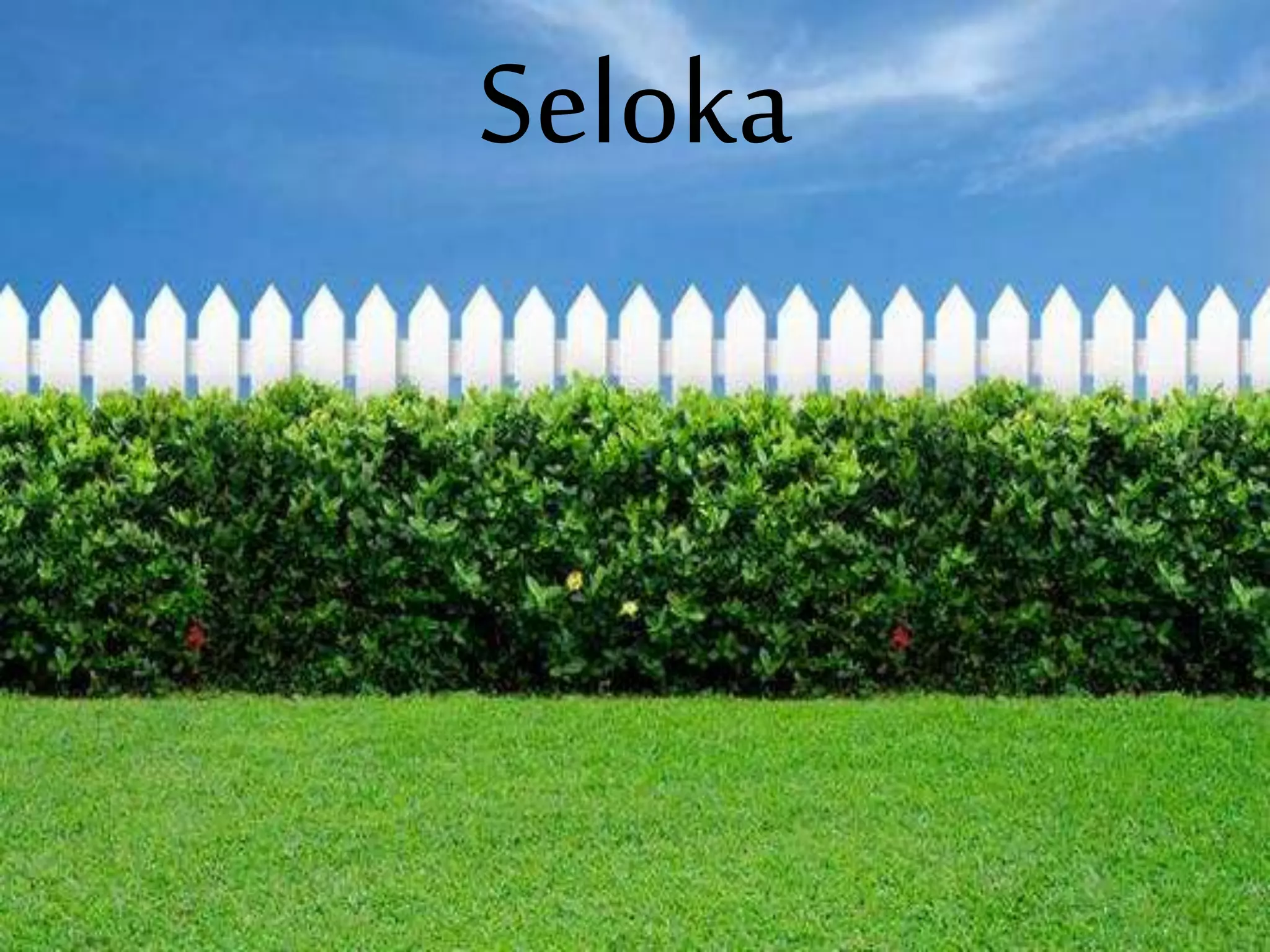 Puisi Tradisional (pantun, syair, seloka, gurindam)- BMM1024 Pengenalan ...