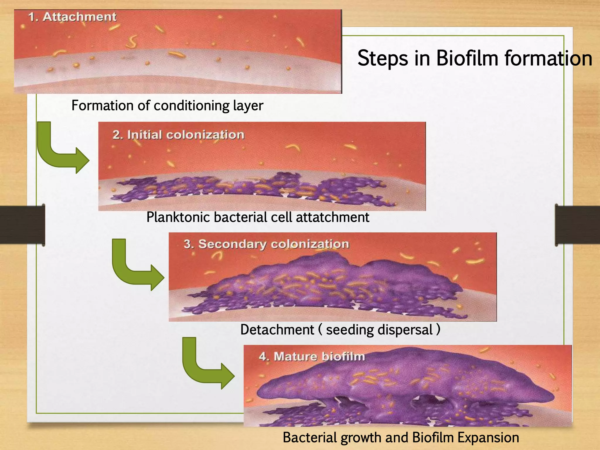 Cleaning and Disinfection of Medical Instruments | PPTX