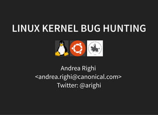 Linux kernel bug hunting | PPT