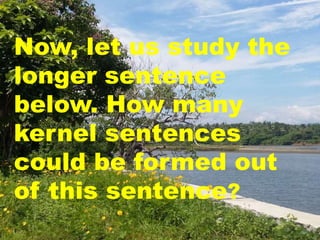 KERNEL SENTENCE | PPTX | Education