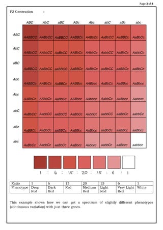 QUANTITATIVE INHERITANCE - KERNEL COLOR IN WHEAT | PDF