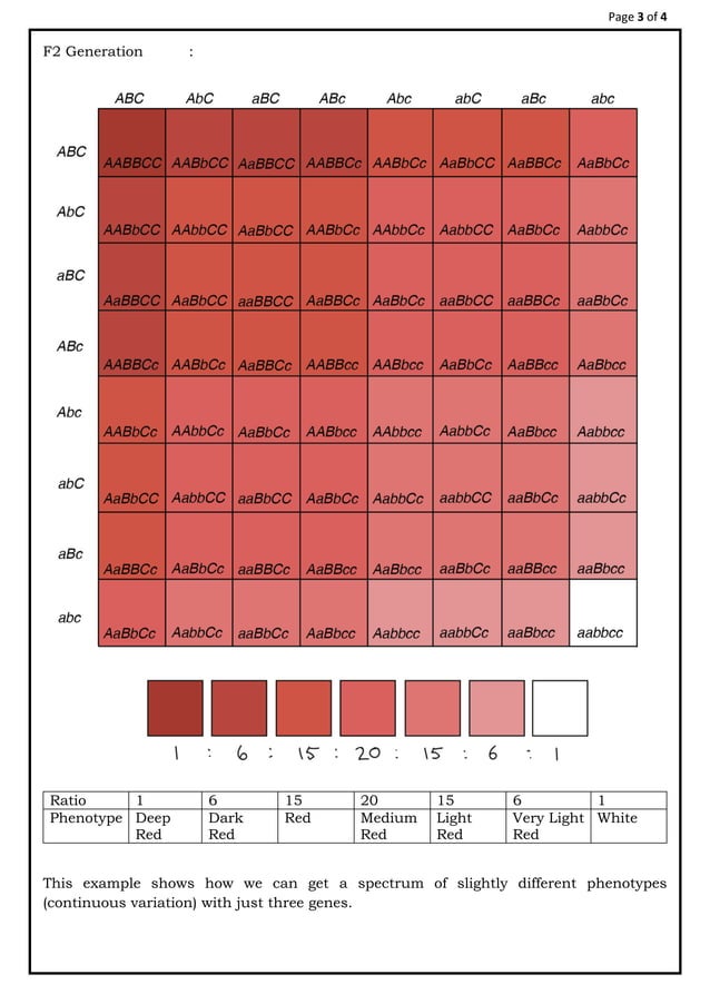 QUANTITATIVE INHERITANCE - KERNEL COLOR IN WHEAT | PDF