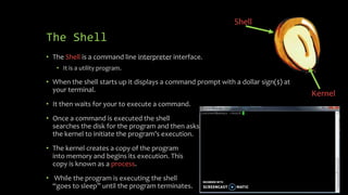 Kernels, Shells, and Popcorn | PPTX | Operating Systems | Computer ...