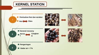 Kernel station pabrik kelapa sawit yang berguna | PPTX