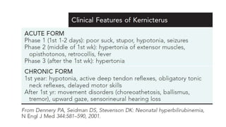 Kernicterus | PPTX