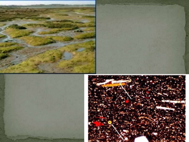 kerogen | PPTX | Geology | Science