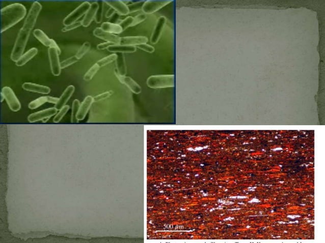 kerogen | PPTX | Geology | Science