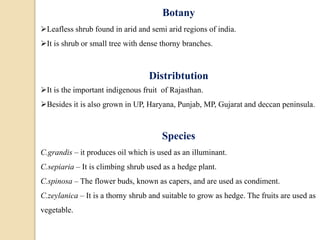 Ker fruit ppt by pushpendra singh | PPTX | Agriculture | Industries