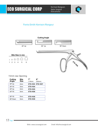 Spine Surgery Instruments Catalog | PDF