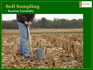Soil Testing, Soil Sampling, & Soil Fertility | PPTX
